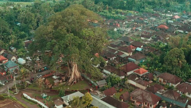 Imágenes de "Bayan: descubre bancos de fotos, ilustraciones, vectores y ...