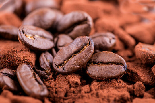 "Coffee Powder"-Bilder: Stock-Fotos & -Videos. | Adobe Stock
