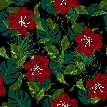 Valotta Images – Browse 7 Stock Photos, Vectors, and Video | Adobe Stock