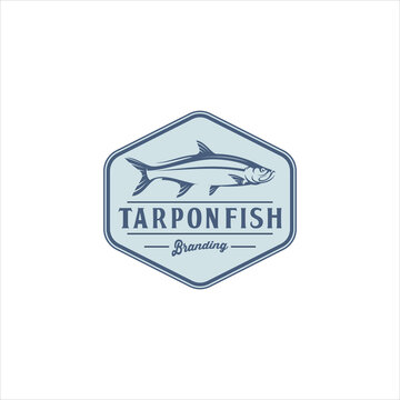 "Silver Fish" Images – Browse 2,713 Stock Photos, Vectors, and Video ...