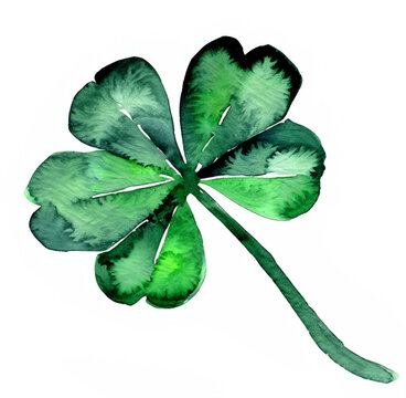 Koniczyna Images – Browse 2,043 Stock Photos, Vectors, and Video ...