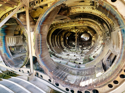 Cannibalization Imagens – Procure 19 fotos, vetores e vídeos | Adobe Stock