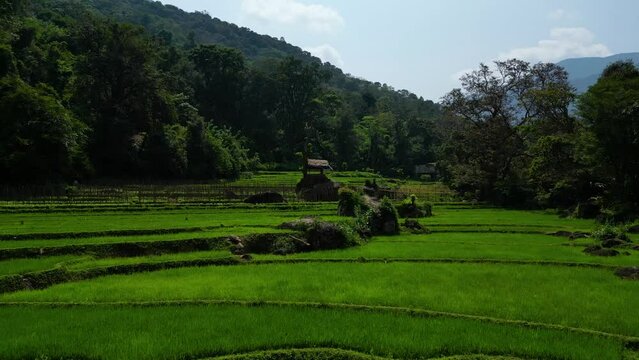 Meemure Images – Browse 31 Stock Photos, Vectors, and Video | Adobe Stock