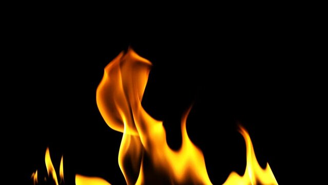 Adobe Video Images – Browse 4,314 Stock Photos, Vectors, and Video ...