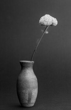 Vaase Images – Browse 14 Stock Photos, Vectors, and Video | Adobe Stock