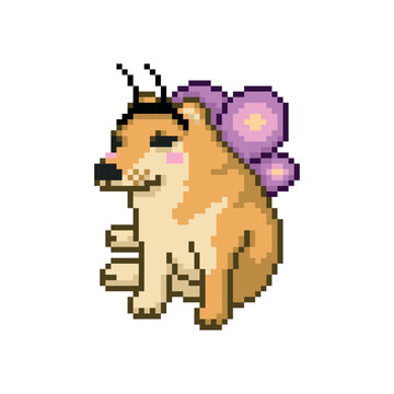 Cheems Images – Browse 63 Stock Photos, Vectors, and Video | Adobe Stock