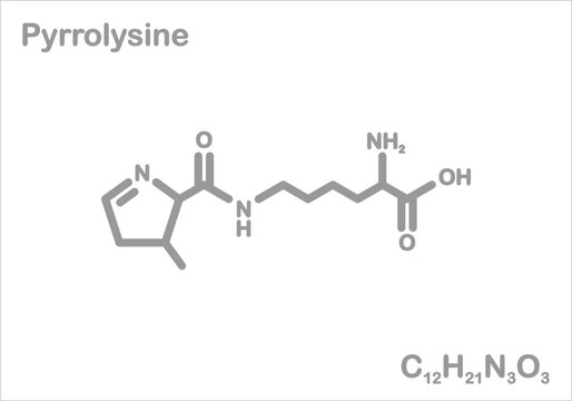 「Pyrrolysine」の写真素材 | 71件の無料イラスト画像 | Adobe Stock