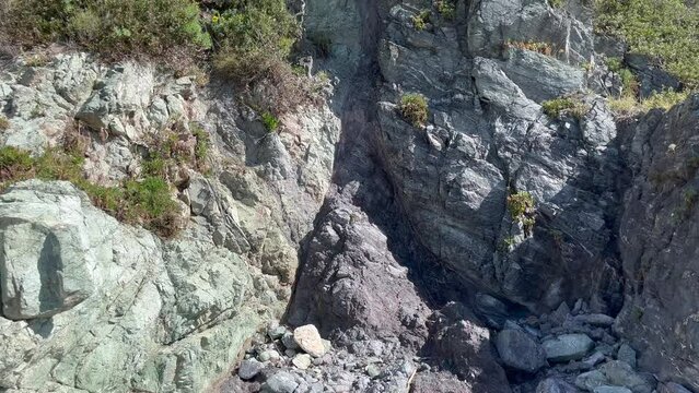 Faglie Images – Browse 34 Stock Photos, Vectors, and Video | Adobe Stock