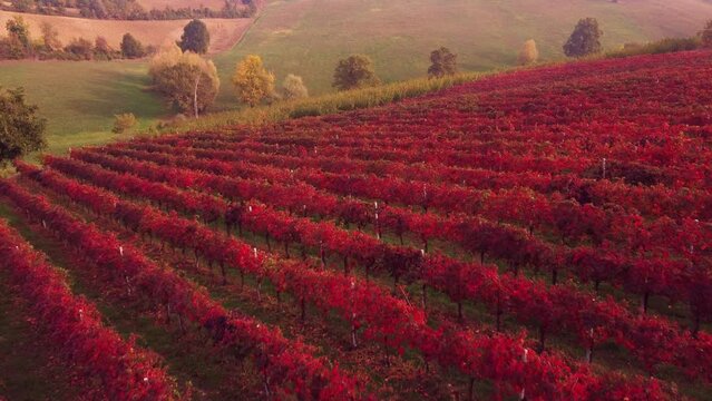 Autumn France Images – Browse 134,095 Stock Photos, Vectors, and Video ...