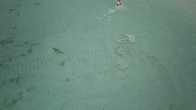 Ichthyophobia Images – Browse 55 Stock Photos, Vectors, and Video ...