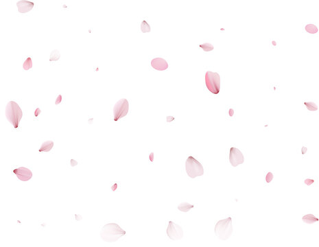 Falling Sakura Wallpaper Images – Browse 25,179 Stock Photos, Vectors ...