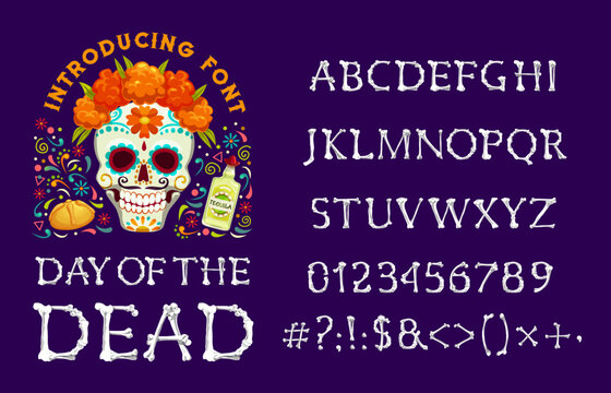 Skeleton Typing Images – Browse 7,028 Stock Photos, Vectors, and Video ...