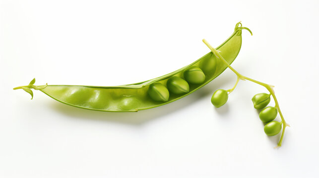 Pea Pod"」の写真素材 | 12,418件の無料イラスト画像 | Adobe Stock