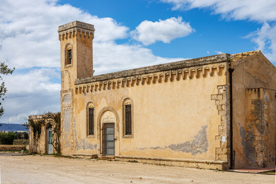 Pupillo Images – Browse 4 Stock Photos, Vectors, and Video | Adobe Stock