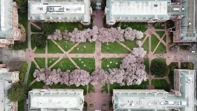 "Inner Yard" Imagens – Procure 709 fotos, vetores e vídeos | Adobe Stock