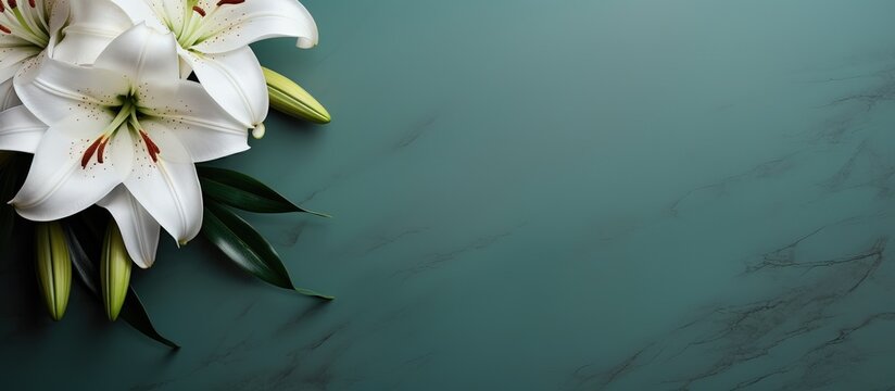 "Deepest Sympathy"-Bilder: Stock-Fotos & -Videos. | Adobe Stock