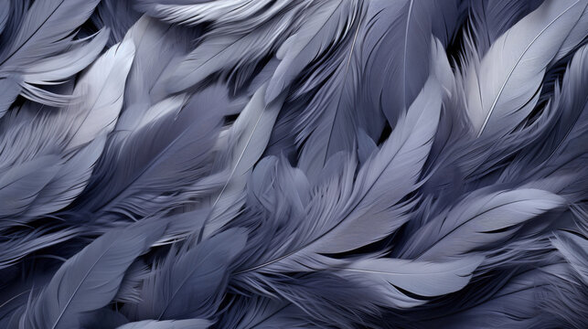 "Gray Feathers" Bilder – Durchsuchen 497 Archivfotos, Vektorgrafiken ...