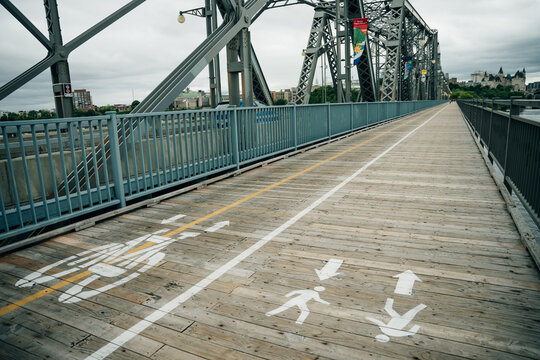 Alexandra Images – Browse 2,137 Stock Photos, Vectors, and Video ...