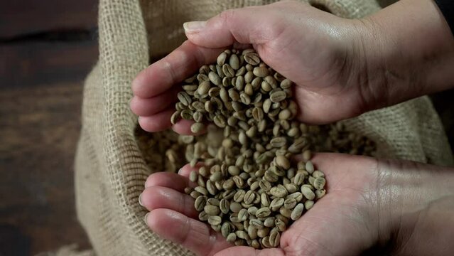 "Green Coffee" Images – Browse 13,221 Stock Photos, Vectors, and Video ...