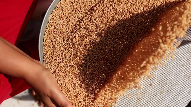 Winnowing Images – Browse 24,646 Stock Photos, Vectors, and Video ...