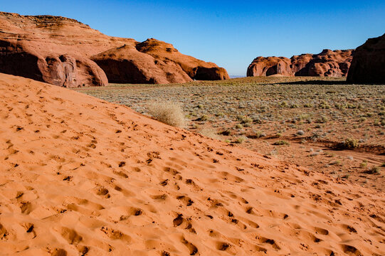 ジープ Images – Browse 793 Stock Photos, Vectors, and Video | Adobe Stock