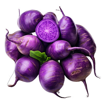 Ratalu Bilder – Durchsuchen 3,419 Archivfotos, Vektorgrafiken und ...