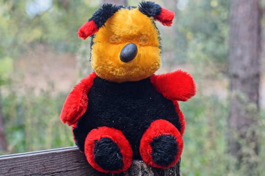 「Soft-Toy」の写真素材 | 110件の無料イラスト画像 | Adobe Stock