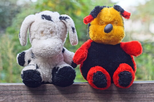 「Soft-Toy」の写真素材 | 110件の無料イラスト画像 | Adobe Stock