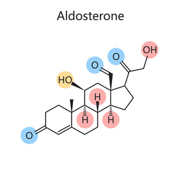 Aldosterone Structure