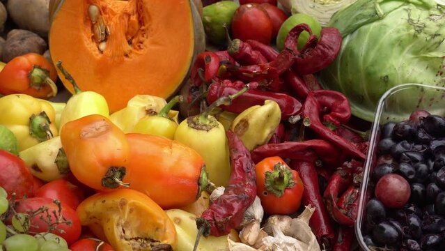 "Food Spoilage" Images – Browse 3,524 Stock Photos, Vectors, and Video ...