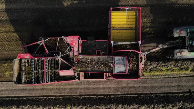 Harving Bilder – Durchsuchen 1,428 Archivfotos, Vektorgrafiken und ...