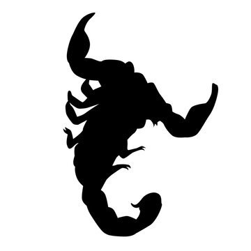 Imágenes de Alacrán: descubre bancos de fotos, ilustraciones, vectores ...