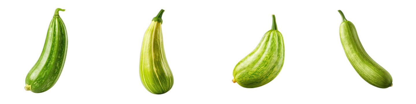 「Parwal」の写真素材 | 758件の無料イラスト画像 | Adobe Stock