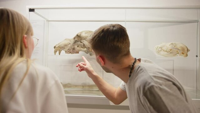 Skeleton Side View Images – Browse 5,748 Stock Photos, Vectors, and ...