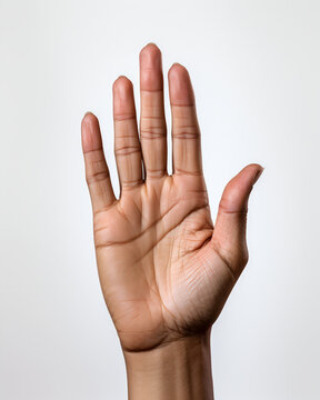 "Human Palm" Images – Browse 1,096 Stock Photos, Vectors, and Video ...