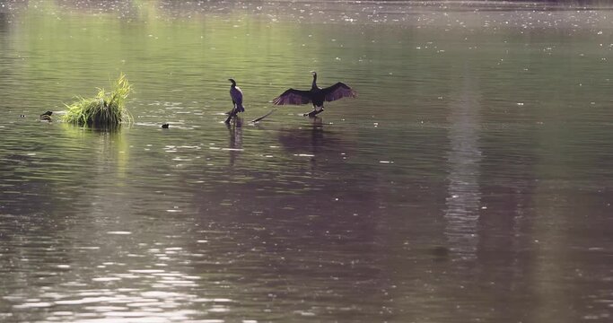 Expelled Images – Parcourir 16,767 le catalogue de photos, vecteurs et ...