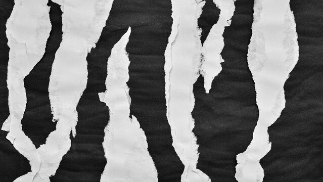 Rip Effect Bilder – Durchsuchen 18,065 Archivfotos, Vektorgrafiken und ...