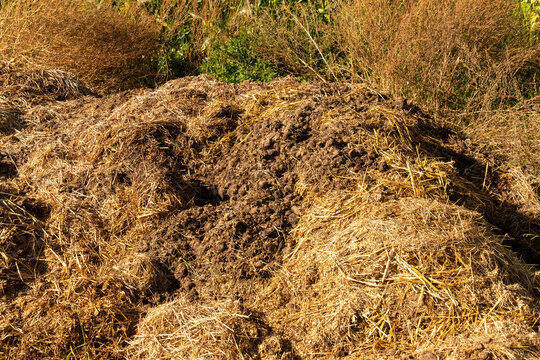 "Dung Heap"-Bilder: Stock-Fotos & -Videos. | Adobe Stock