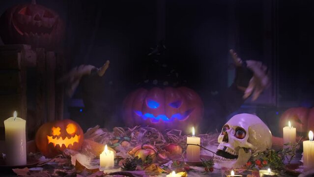 "Halloween Time" Images – Browse 549 Stock Photos, Vectors, and Video ...