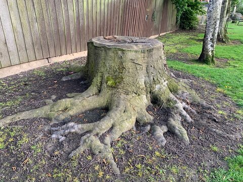 Overcut Images – Browse 14 Stock Photos, Vectors, and Video | Adobe Stock