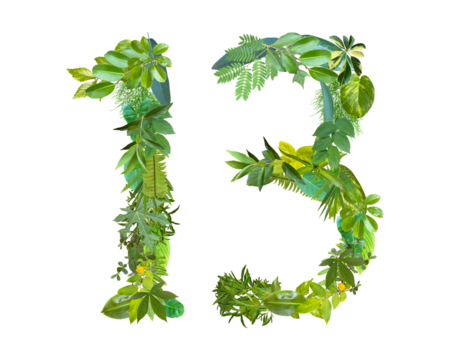 13 Text PNGs – Transparent Background Images | PikWizard