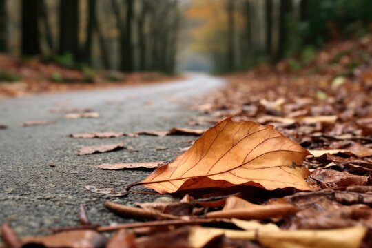 "Lonely Path" Images – Browse 113 Stock Photos, Vectors, and Video ...