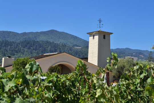 "Robert-Bilder: Stock-Fotos & -Videos. | Adobe Stock