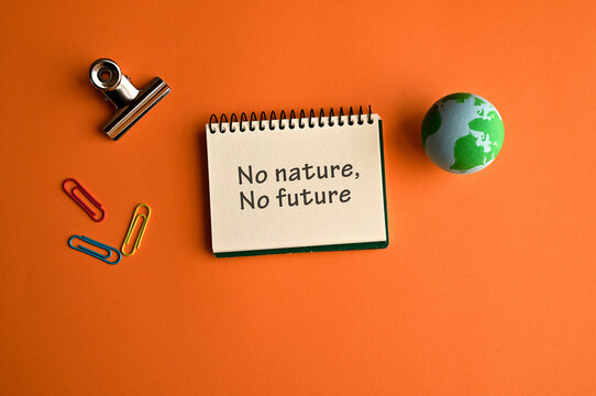 "No Future" Bilder – Durchsuchen 597 Archivfotos, Vektorgrafiken und ...