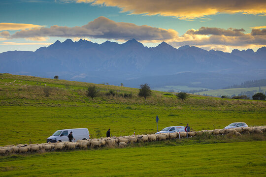 "Baca-Bilder: Stock-Fotos & -Videos. | Adobe Stock