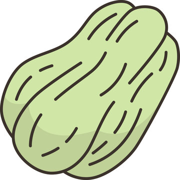 Sayote Images – Browse 6,732 Stock Photos, Vectors, and Video | Adobe Stock