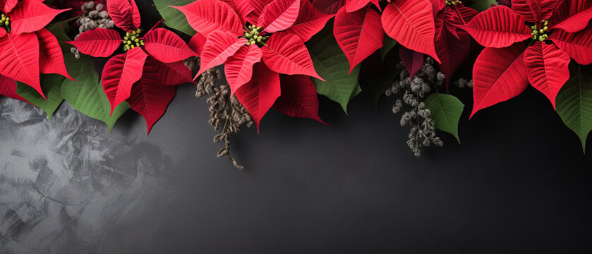 Julblommor bilder – Bläddra bland 187,938 stockfoton, vektorer och ...