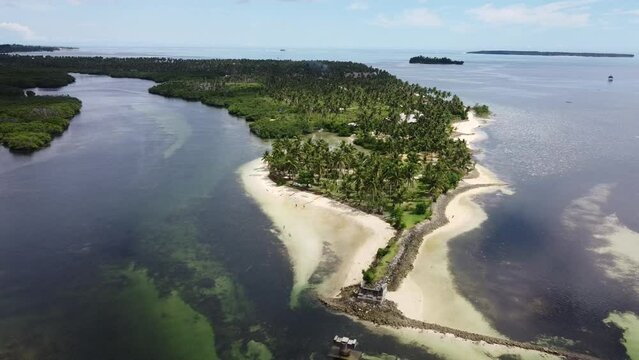 "Brackish Water" Images – Browse 5,071 Stock Photos, Vectors, and Video ...