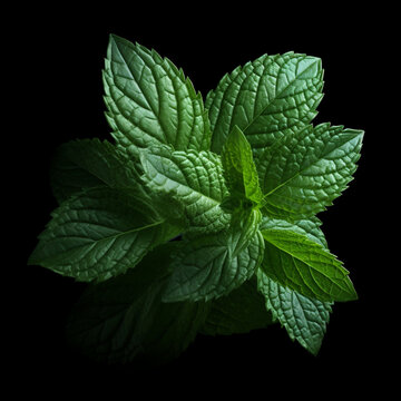 Mentol Bilder – Durchsuchen 689 Archivfotos, Vektorgrafiken und Videos ...