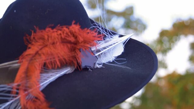 Fether Images – Browse 4,122 Stock Photos, Vectors, and Video | Adobe Stock